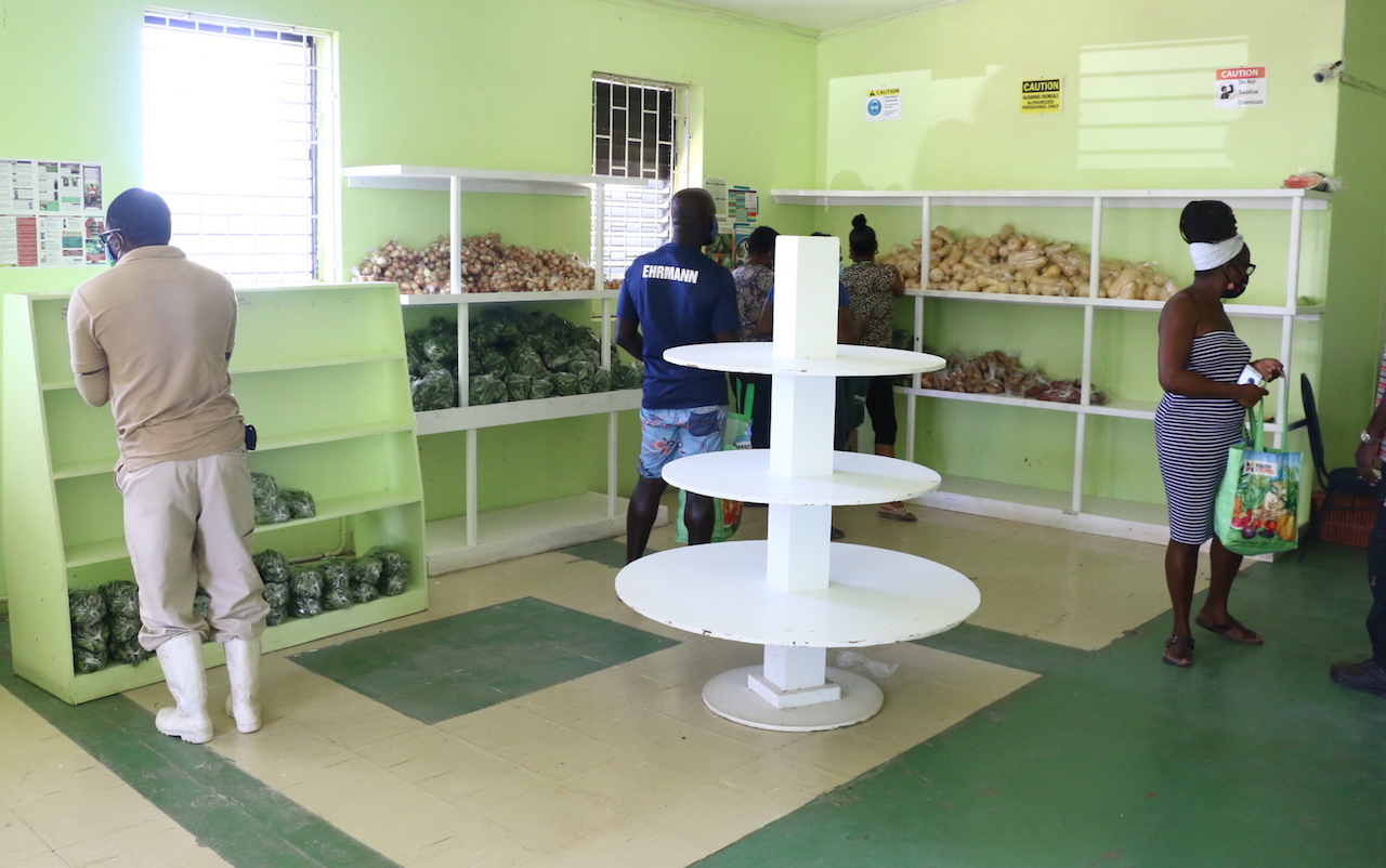 #BTFocus - Crop gift . . . Northern farmers in produce giveaway ...