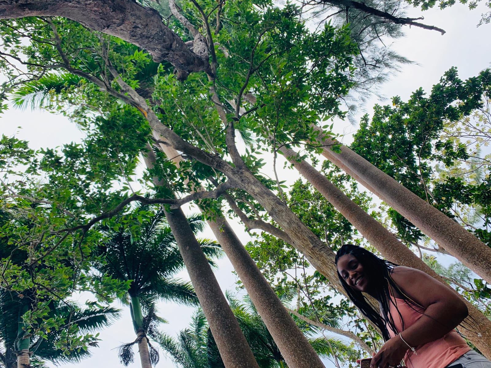 Coco Hill Forest - The Green Therapy We All Need - Barbados Today