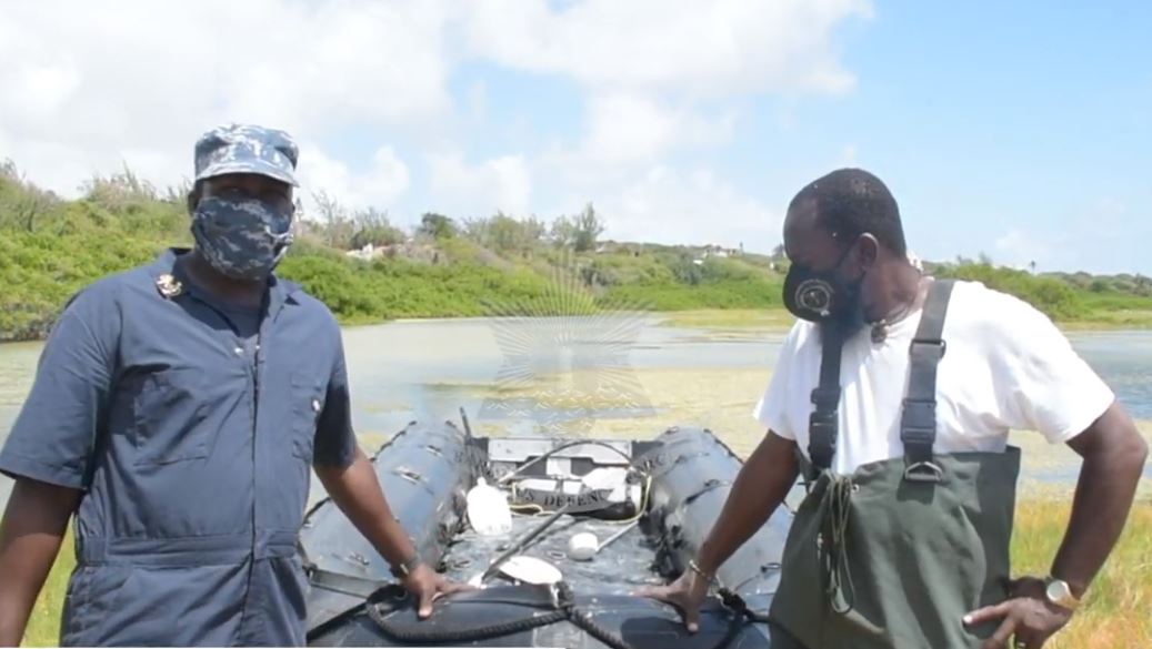 BDF assisting with eradication of Dengue Mosquito - Barbados Today