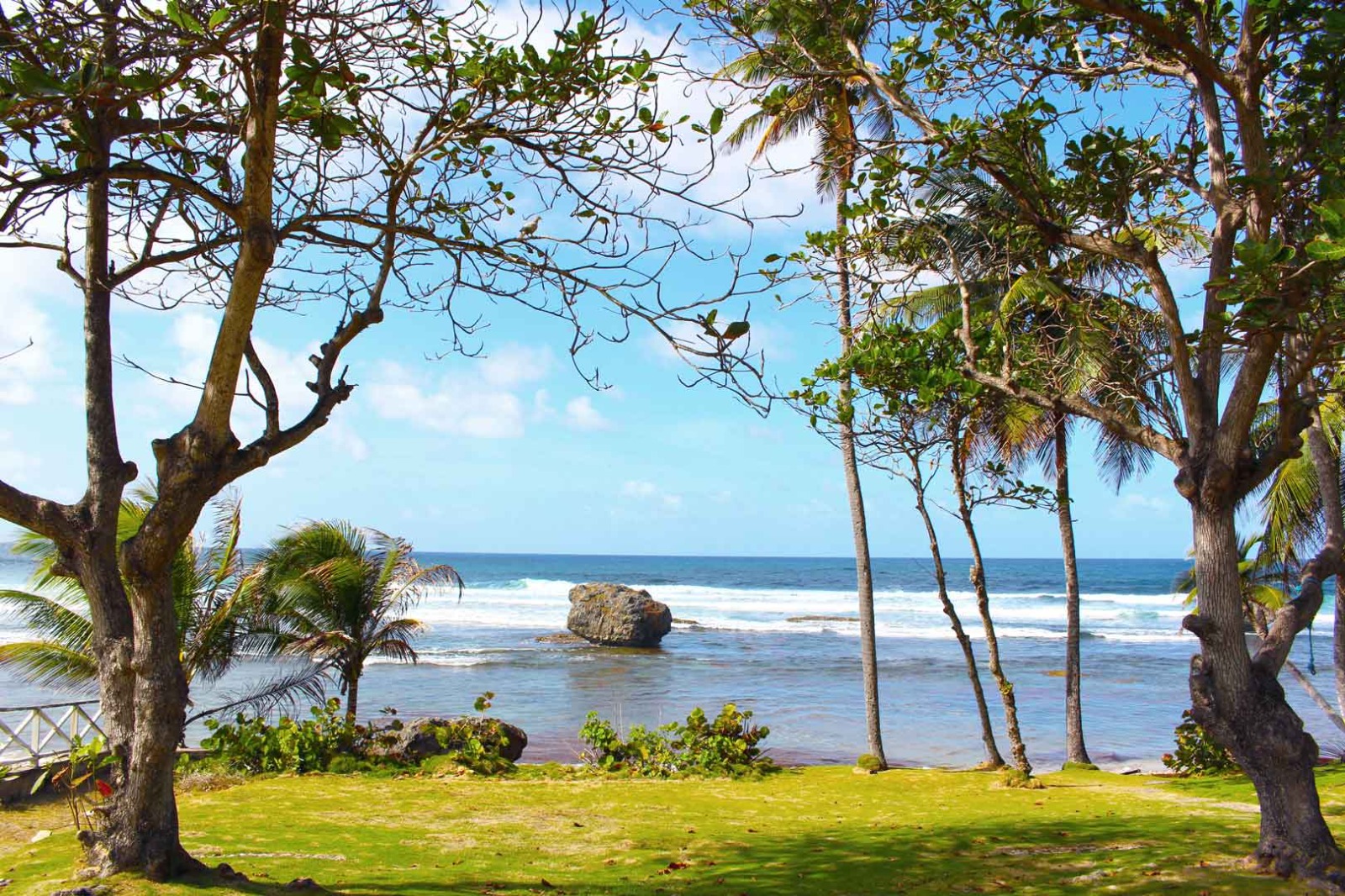 Exploring the East Coast of Barbados! - Barbados Today