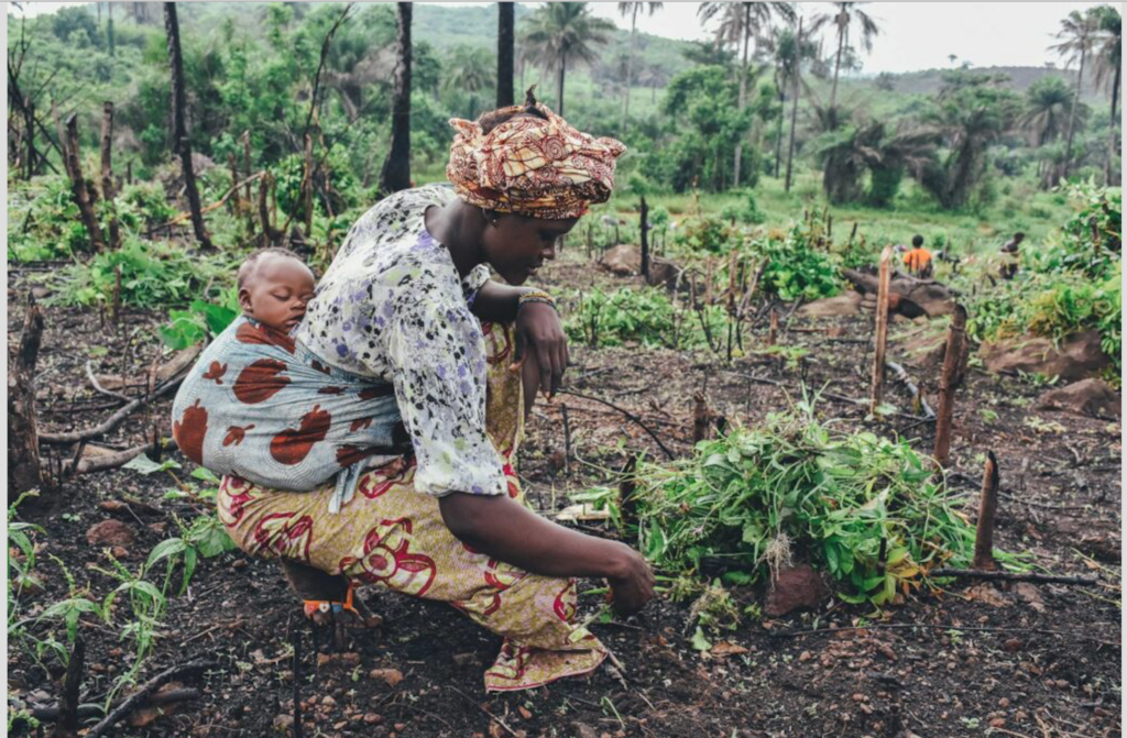 #BTColumn – Rural women growing food for all - Barbados Today