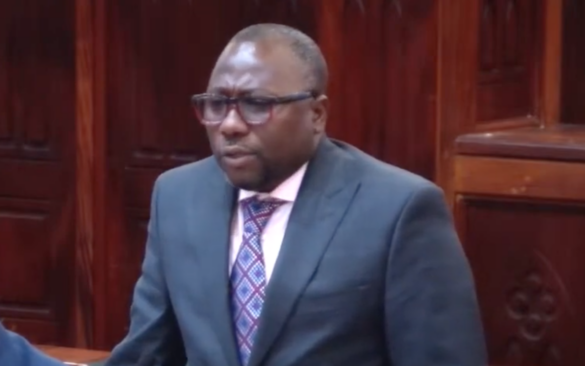 School agriculture project gets nod of approval - Barbados Today