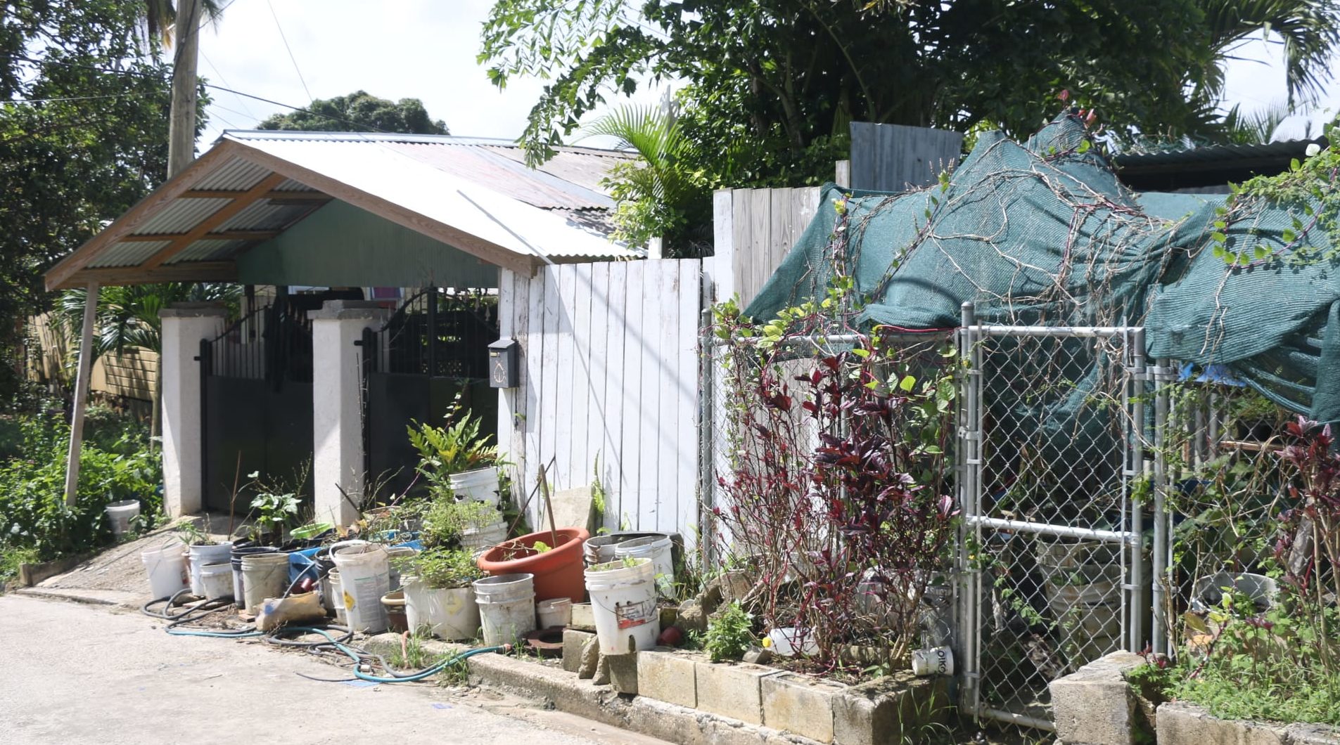 Police probe unnatural death in St Thomas - Barbados Today