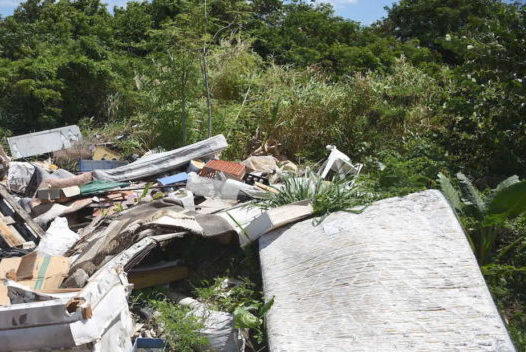 We don’t like it here - Barbados Today