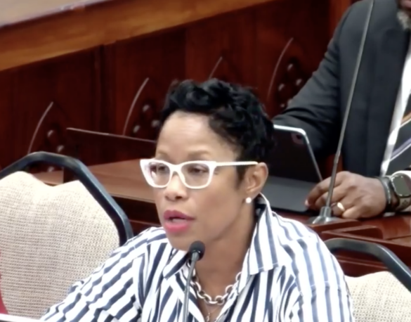 Progress being made in CAIPO “refashioning” - Barbados Today