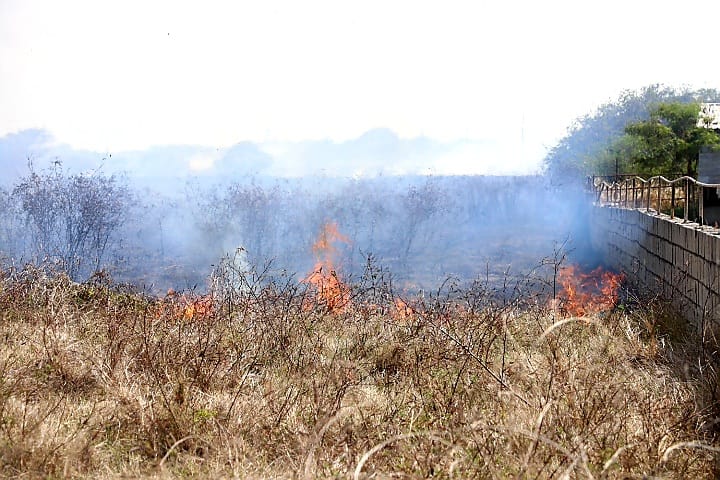 Fire officers monitoring grass fire in St Philip - Barbados Today