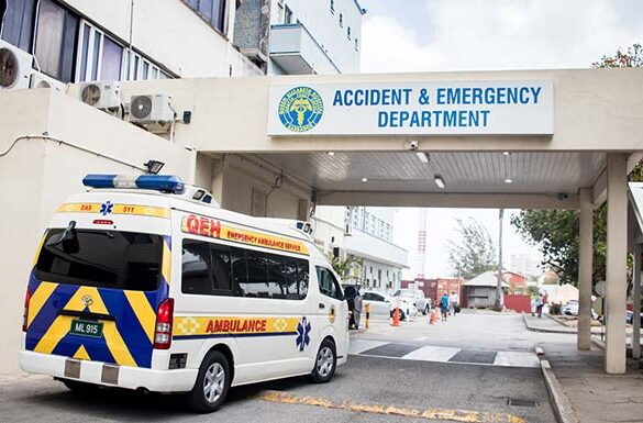 BLA rolls out online services, boosts staff to improve service ...