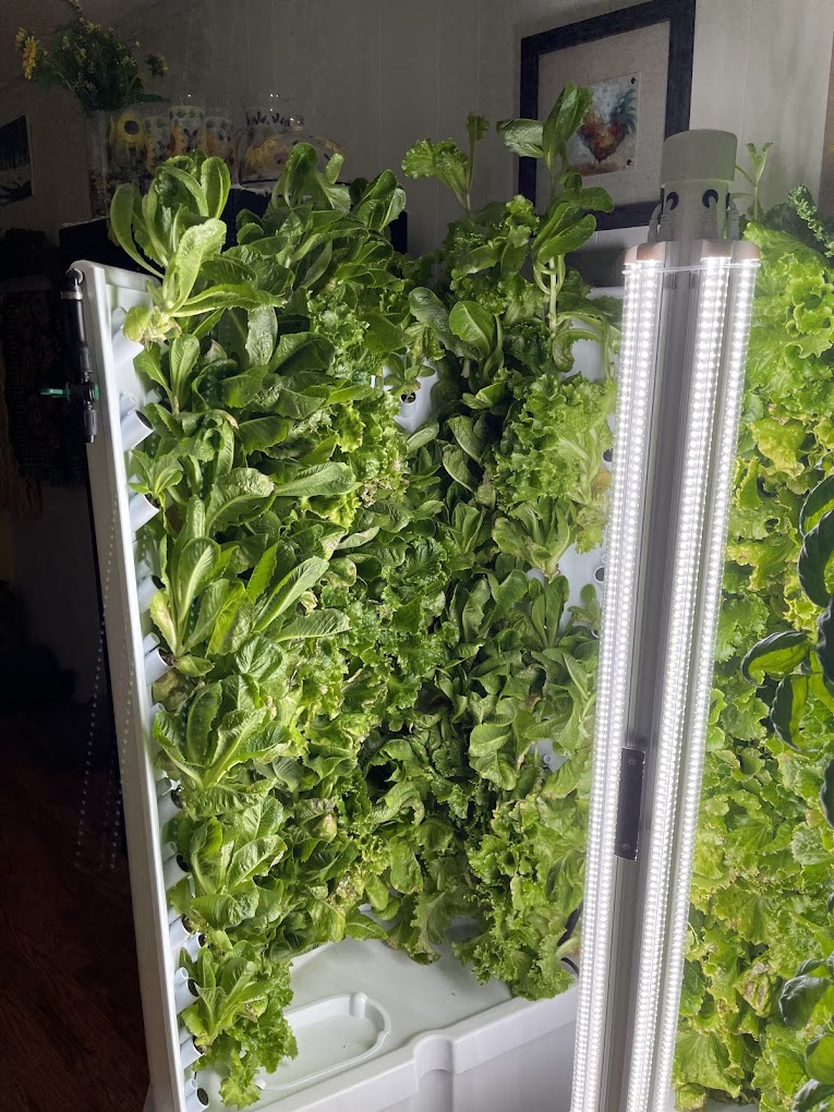 Flex Farms to be used to grow fresh greens year-round, promote ...