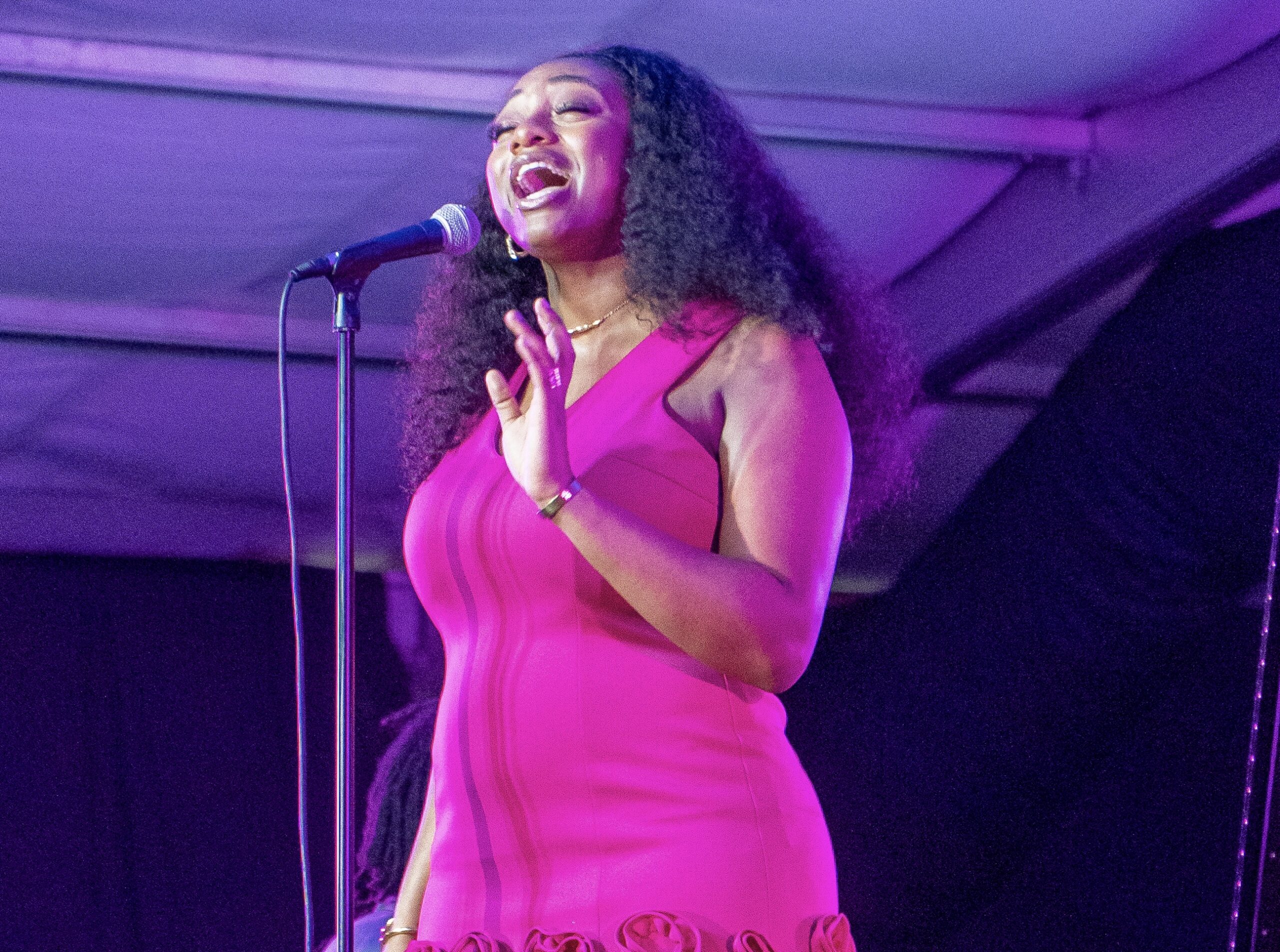 Stunning vocals at Pure Jazz Ladies in Concert - Barbados Today