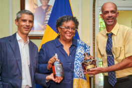 Cricket standards under the microscope - Barbados Today