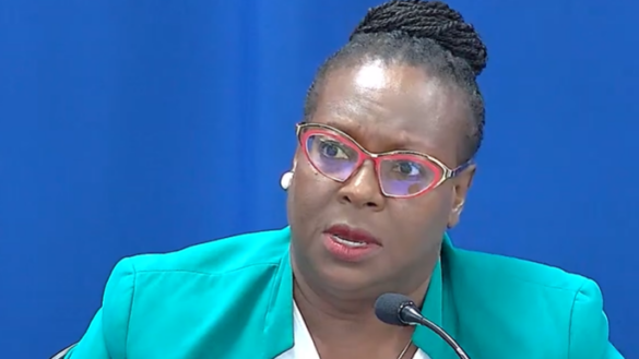 Mixed 11-Plus performance; private schools dominate high achievers - Barbados Today