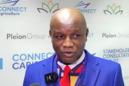 Dems: Anti-gangs bill should target networks, financing - Barbados Today
