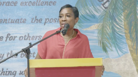 Political scientist backs Munro-Knight Christ Church South bid ...
