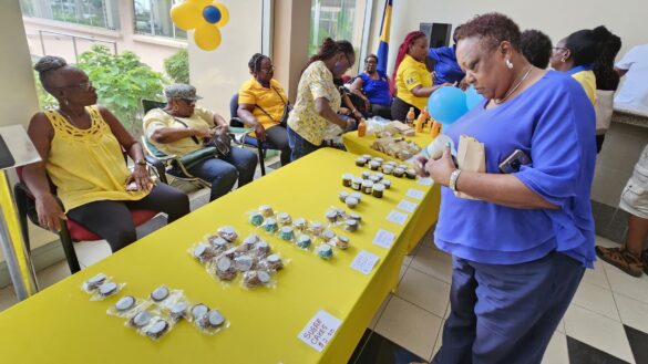 Budding entrepreneurs shine at community show - Barbados Today
