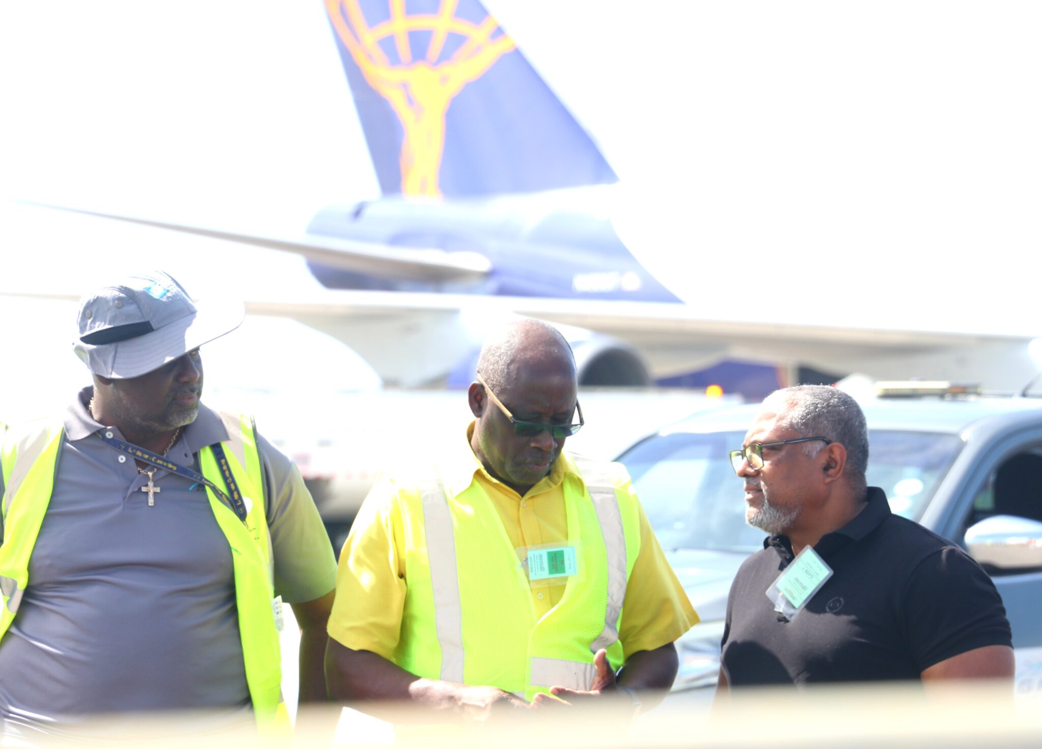 Dairy industry welcomes heifers - Barbados Today