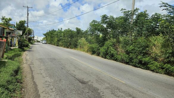 Overgrown road sparks safety concerns in St George - Barbados Today