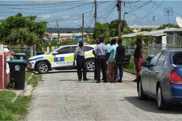 Alex Knaggs is the new general manager at Trident Insurance - Barbados ...