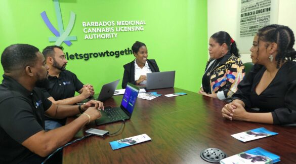 Cannabis industry secures much-needed funding boost - Barbados Today