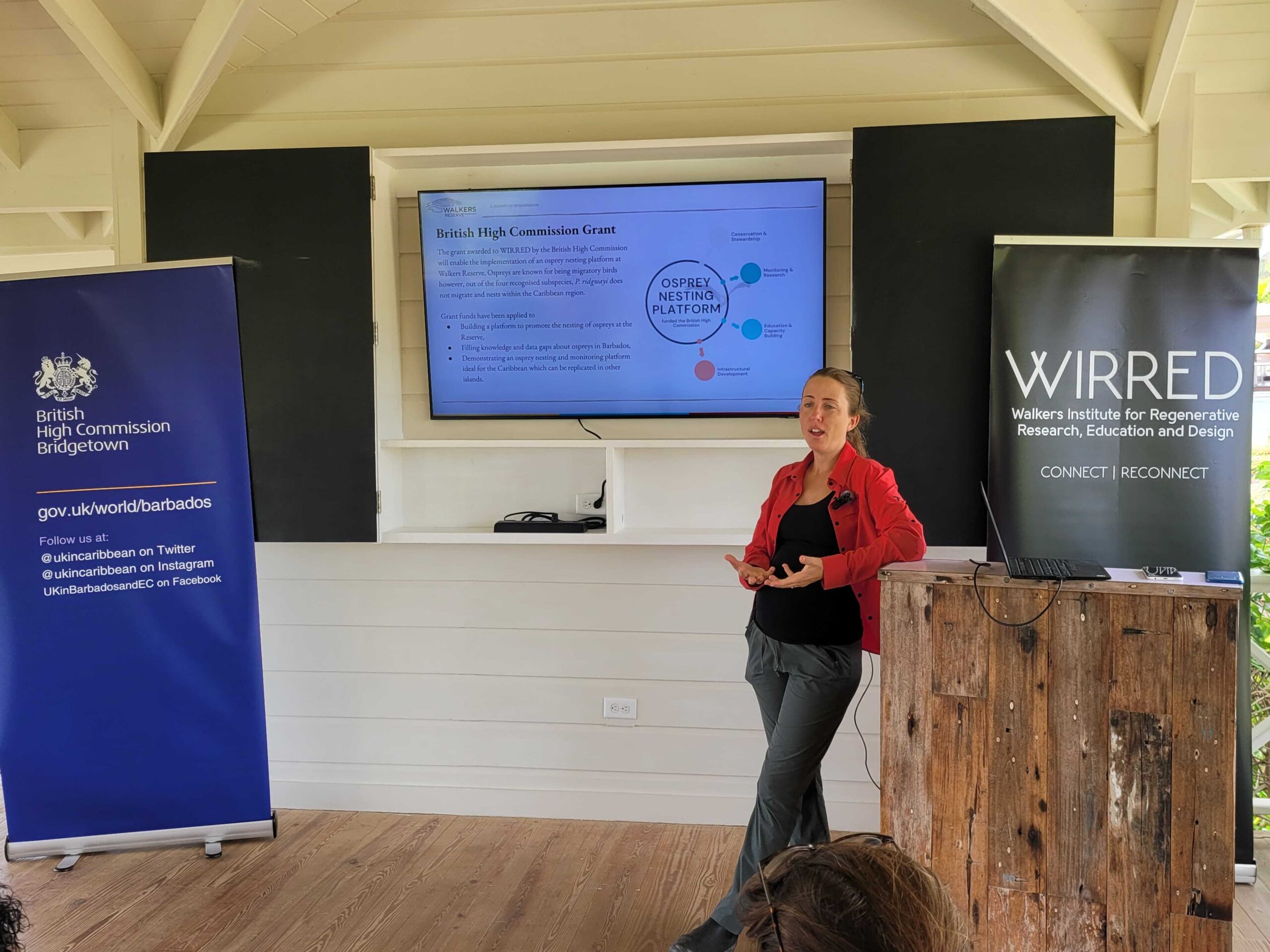 Barbados unveils first osprey nesting platform - Barbados Today