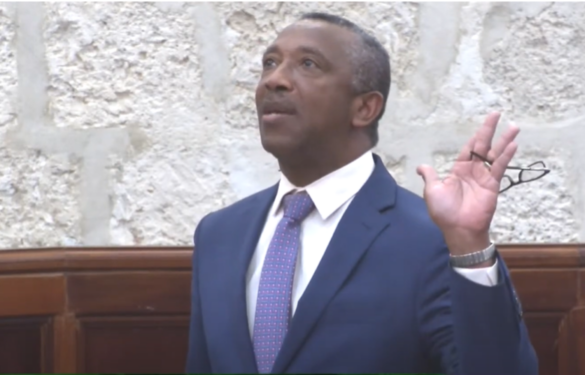 Thorne flags inequality in Storm Water Bill - Barbados Today