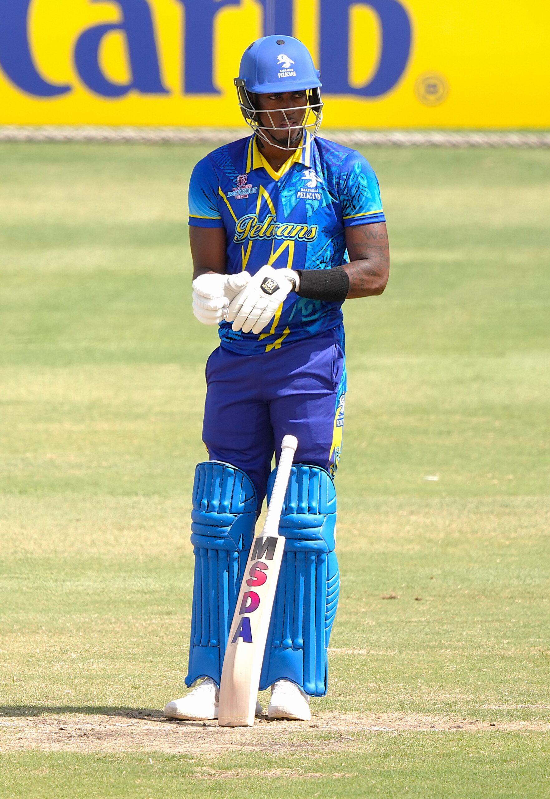 Pelicans topple Rainforest Rangers by seven wickets - Barbados Today
