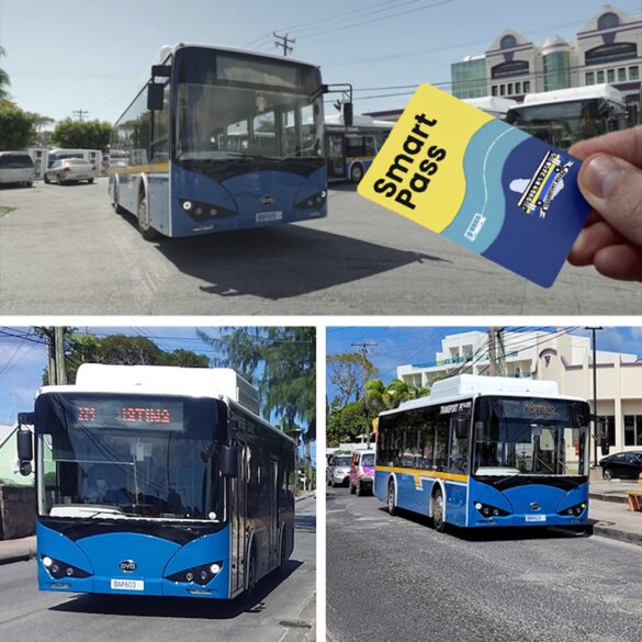 Scam alert: Transport Board warns of fraudulent $4.59 bus pass ...
