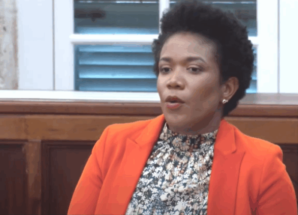 Caddle calls for insurance reform as climate threat looms - Barbados Today