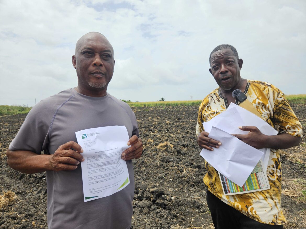 Two farmers in dispute as state reallocates land under Spring Hall ...