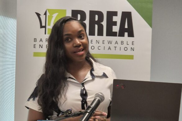 FSC charts bold path to strengthen $174B insurance sector - Barbados Today