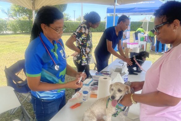 Springer Memorial School celebrates 60th anniversary - Barbados Today