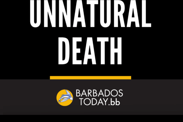 Munro-Knight calls for unity, community values amid concerns over ...