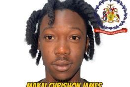 Lawmakers unite to confirm Jeffrey Bostic as second republican president - Barbados Today