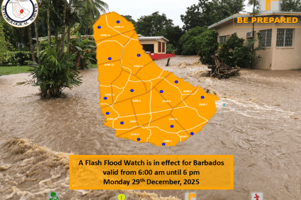 Barbados TODAY, St. Lucia Times & Selecta Charts seal major partnership ...