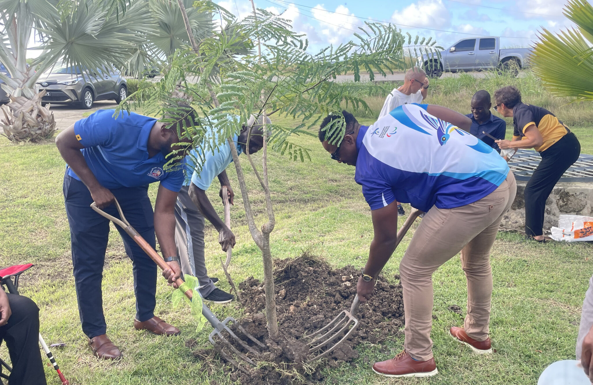 50 trees, one legacy: disability advocates plant hope along Barbados ...
