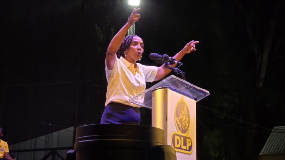 Too many broken promises in Christ Church East, says DLP candidate ...