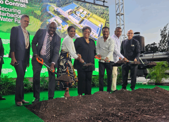 Historic upgrade ends years of hardship for Belle, Bellevue, Bayley ...