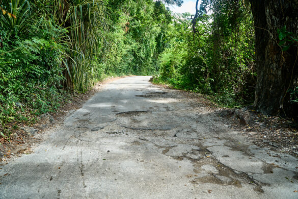 Music education to benefit from BIM Got Talent finale - Barbados Today