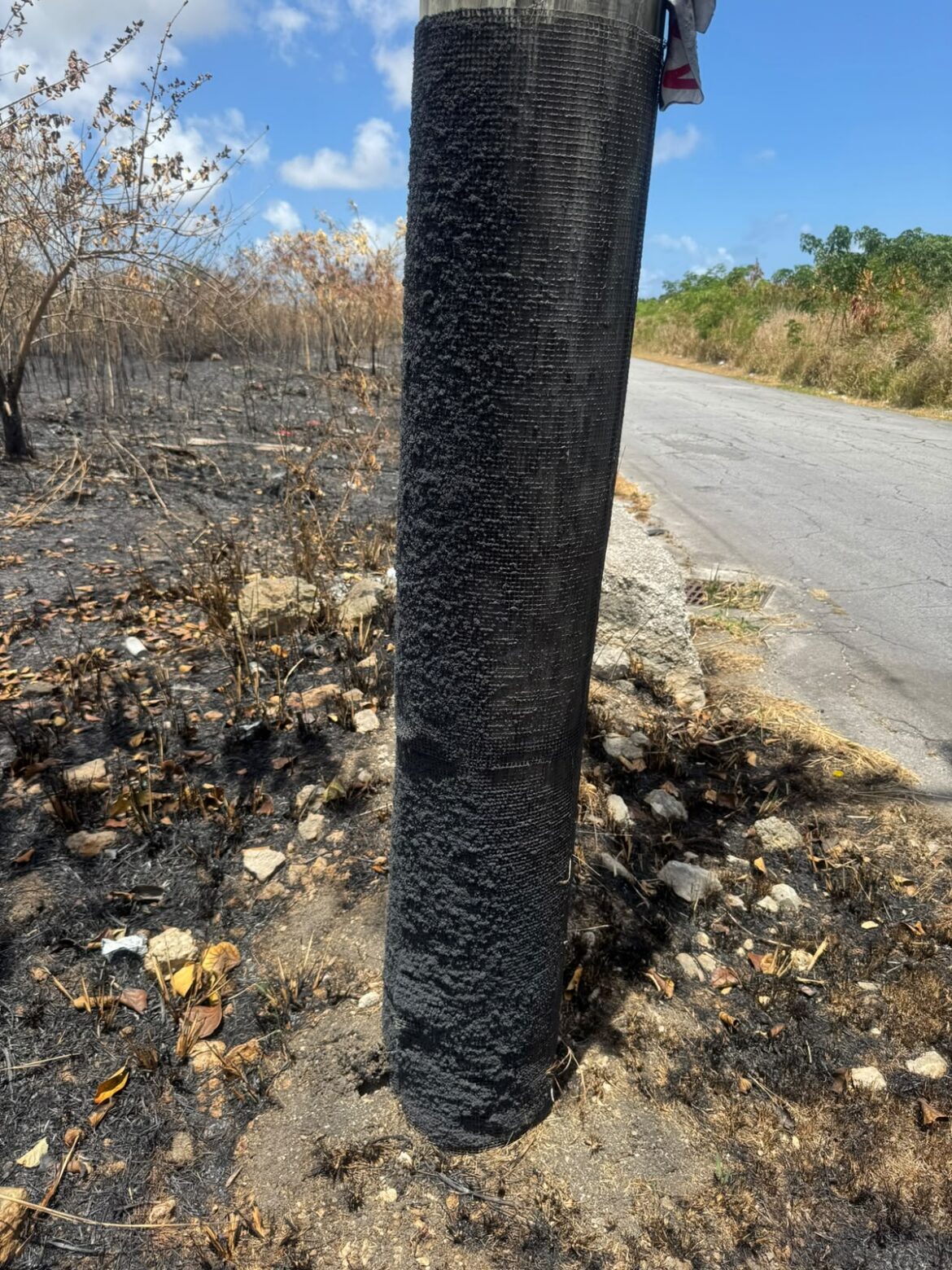 Grass fires cost Light & Power thousands, prompting pole protection ...